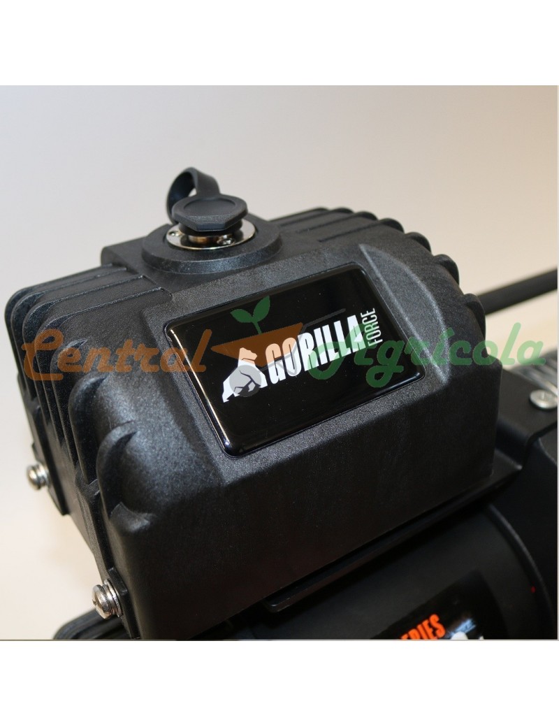 Winche Eléctrico 18.000 lbs 12v DC Control Remoto Gorilla Force